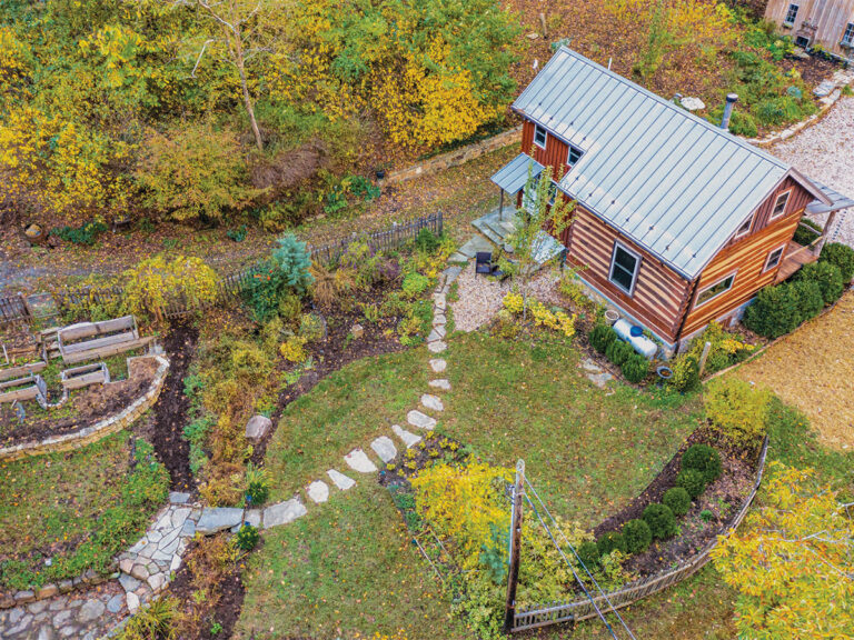 Turning a Soggy Site into a Native Woodland Garden - Fine Gardening