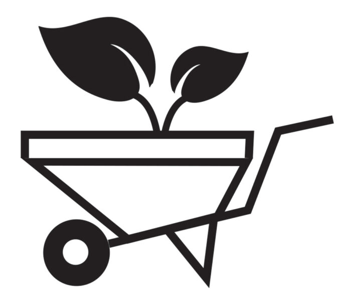 Can My Plant Be Saved from Root Rot? - Fine Gardening