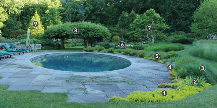 Planting Plan for a Geometric Garden - Fine Gardening