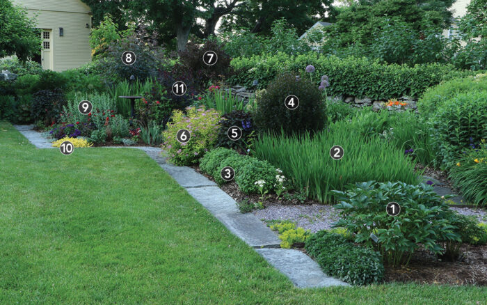 Planting Plan for a Geometric Garden - Fine Gardening