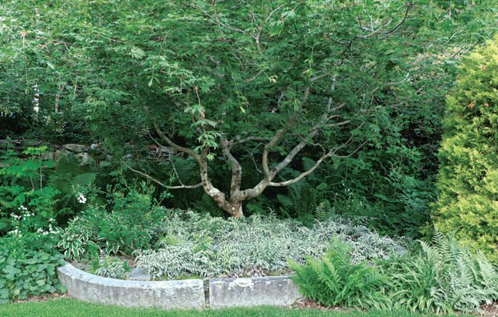 Use Geometry to Create a Beautiful Garden Plan - Fine Gardening