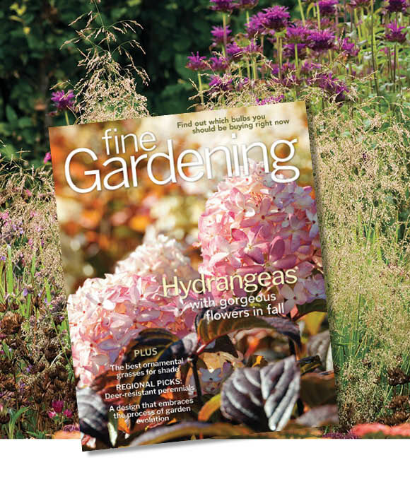 Fine Gardening Magazine Issue #225 Web Extras - Fine Gardening