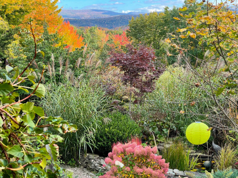 Another Visit to Mel’s Rustic Cabin Garden - Fine Gardening