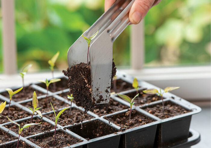 New Veggie Garden Tools for 2023 - Fine Gardening