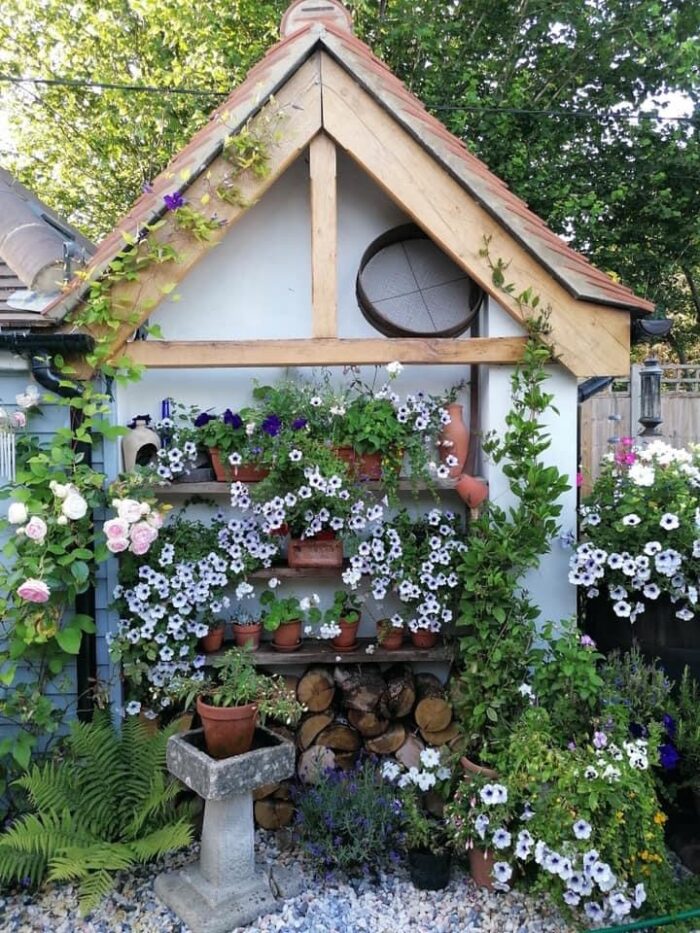 Vince’s Small Magical Garden - Fine Gardening