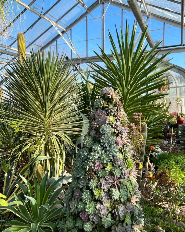 The Arid Greenhouse at the Centennial Park Conservatory - Fine Gardening