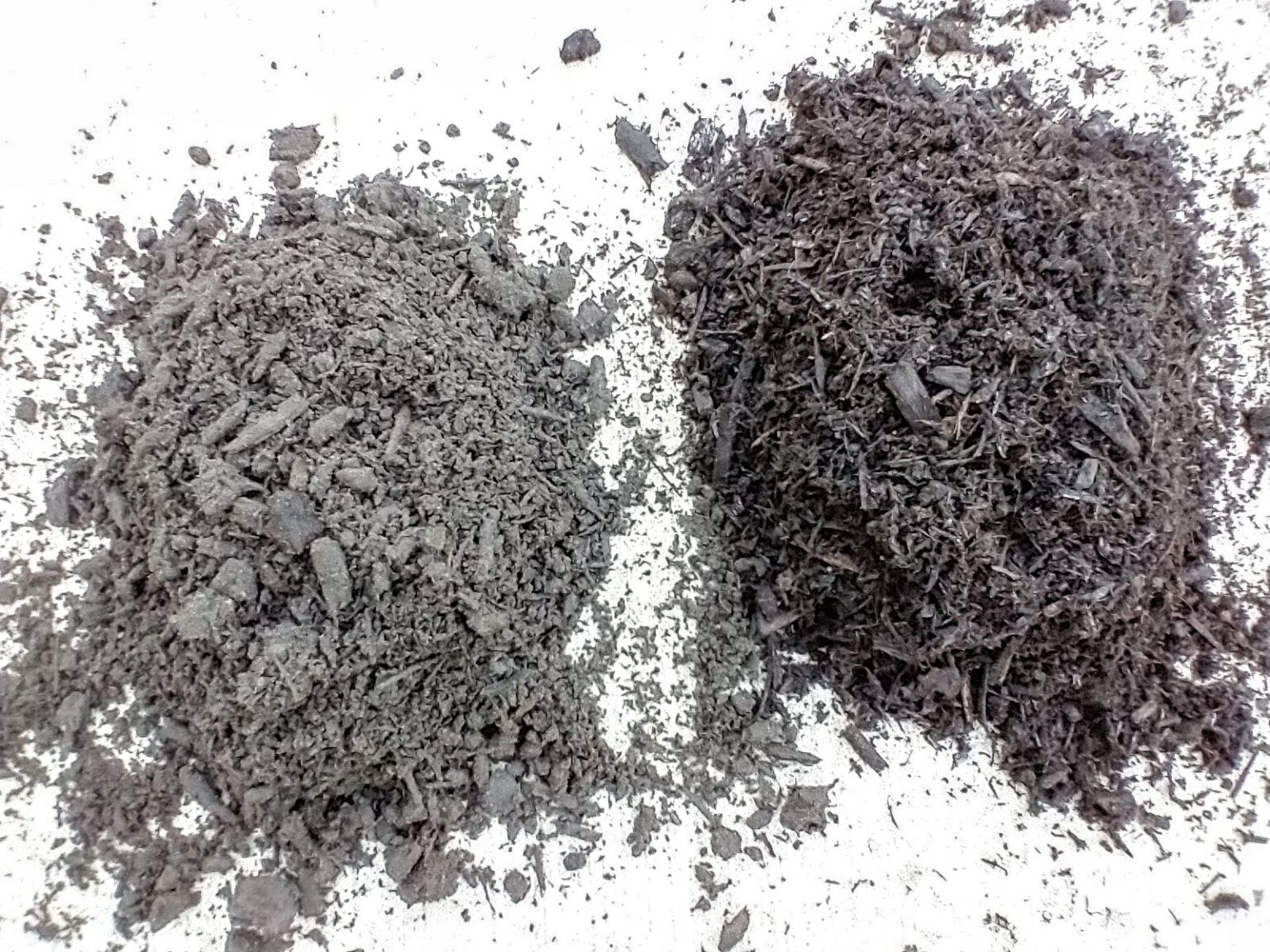 Healthy Soil Is at the Heart of a Thriving Garden - Fine Gardening
