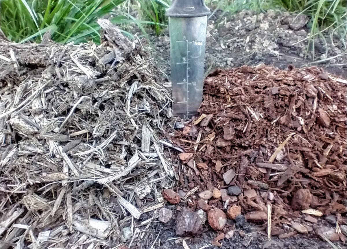 Healthy Soil Is at the Heart of a Thriving Garden - Fine Gardening