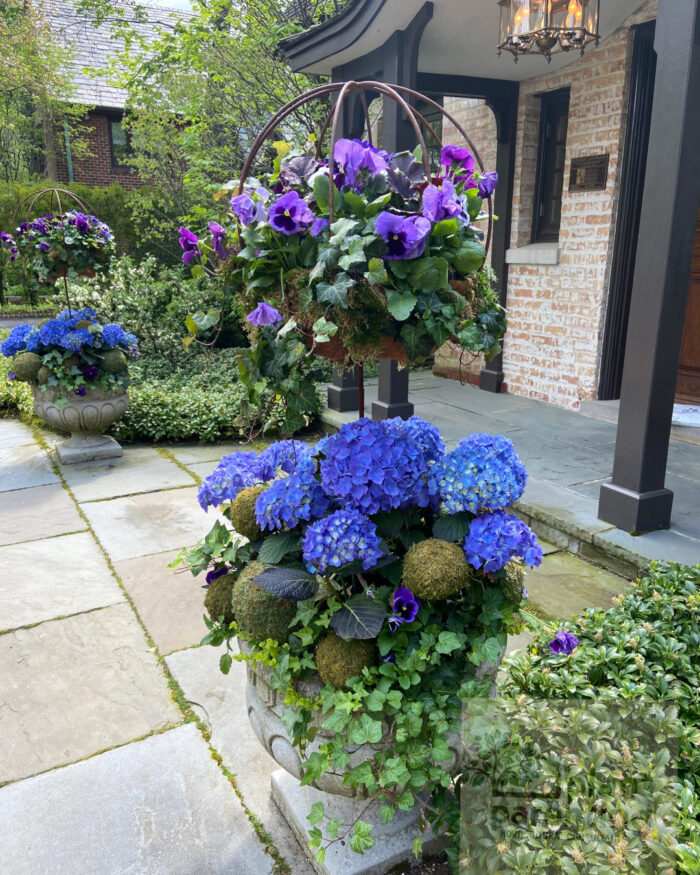Spring Container Designs - Fine Gardening