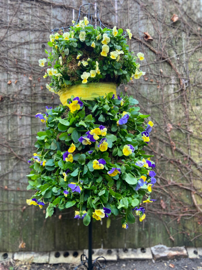 Spring Container Designs - Fine Gardening