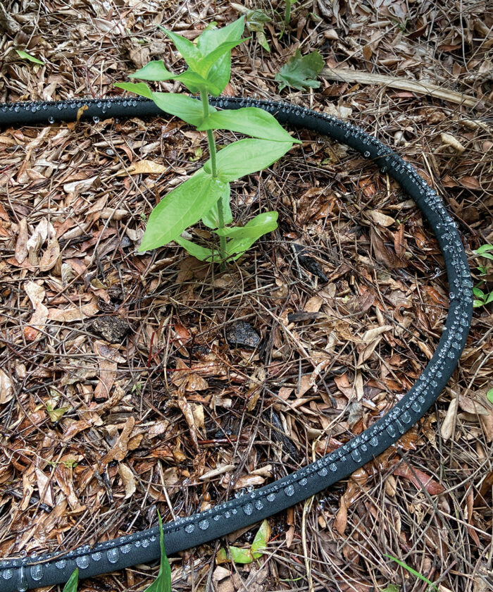 Water Smarter: Find the Best Watering Method for Your Situation - Fine ...