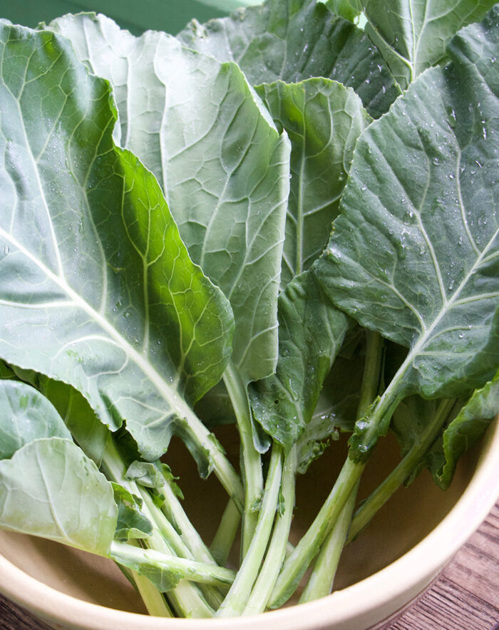 4 Iconic Southern Vegetables to Grow in Your Northern Garden - Fine ...