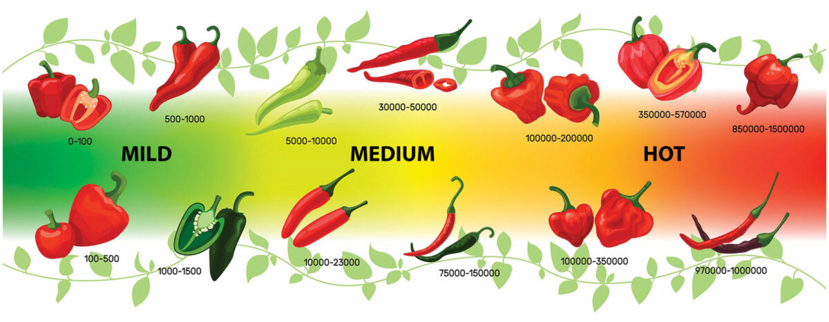 The Best Hot Pepper Varieties to Grow - Fine Gardening