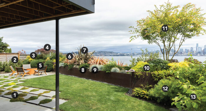 Planting Plan for a Bold, Modern Garden - Fine Gardening