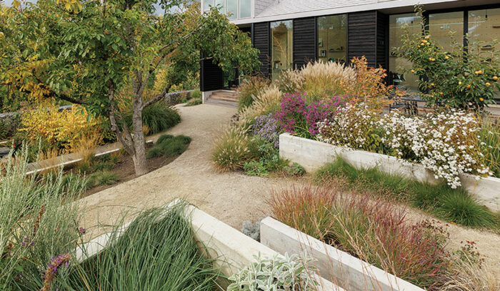 A Landscape Plan for a Challenging Area and Conditions - Fine Gardening