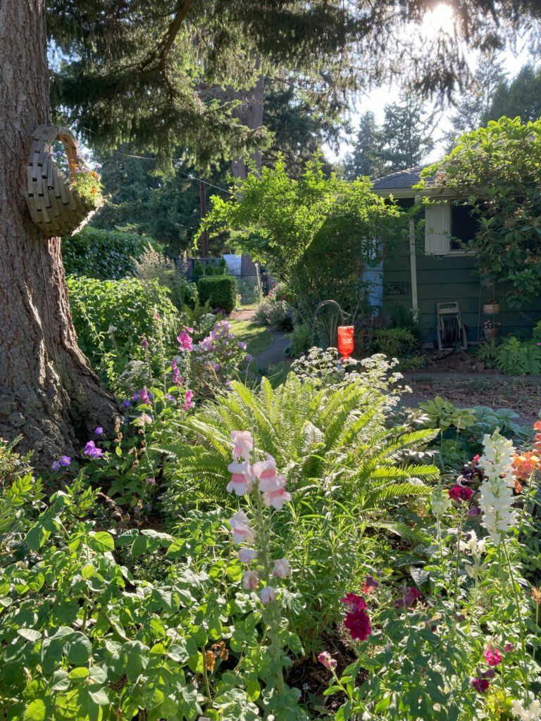 Melina’s Seattle Area Garden - Fine Gardening