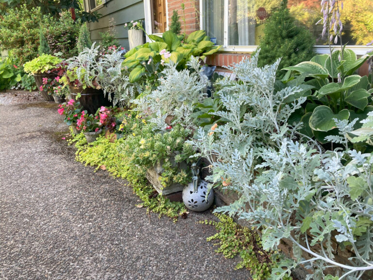 Melina’s Seattle Area Garden - Fine Gardening