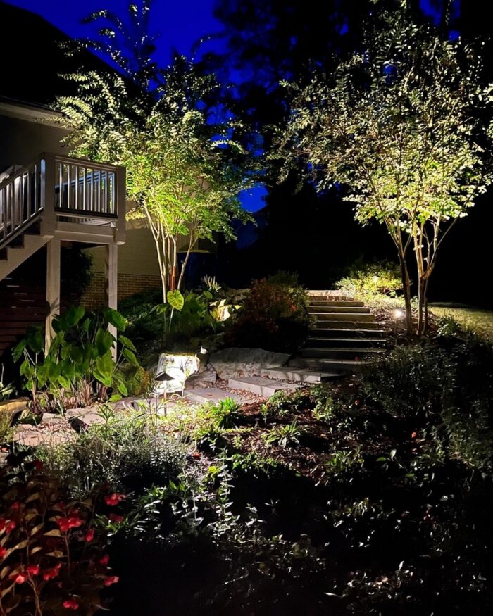 The Garden at Night - Fine Gardening