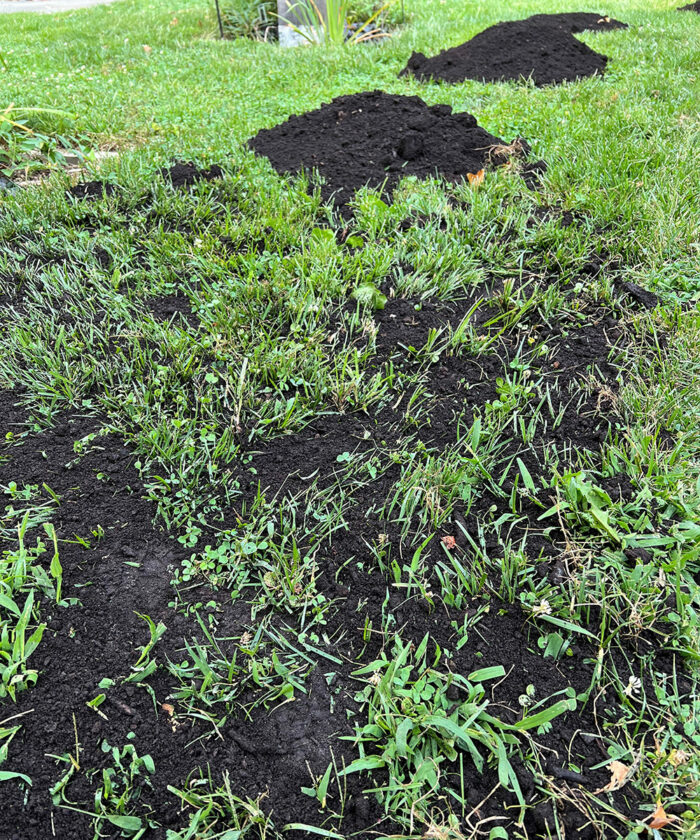 Fall Is a Natural Time for Organic Lawn Care - Fine Gardening