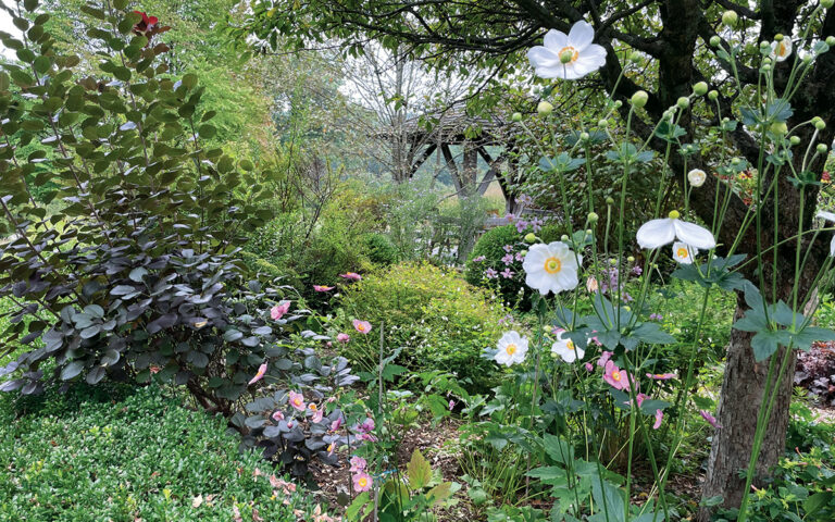 8 Fantastic Fall Plant Combinations for Lovely Late-Season Gardens ...