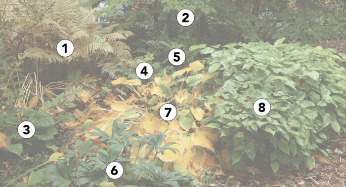 8 Fantastic Fall Plant Combinations for Lovely Late-Season Gardens ...