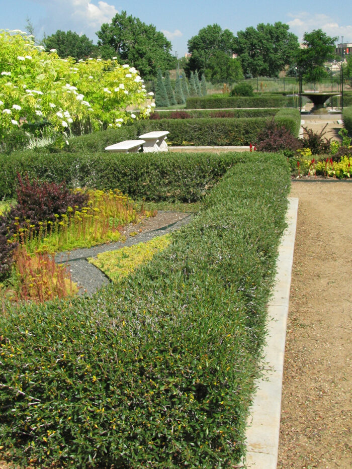 How to Incorporate Arid Native Plants in Formal Garden Designs - Fine ...
