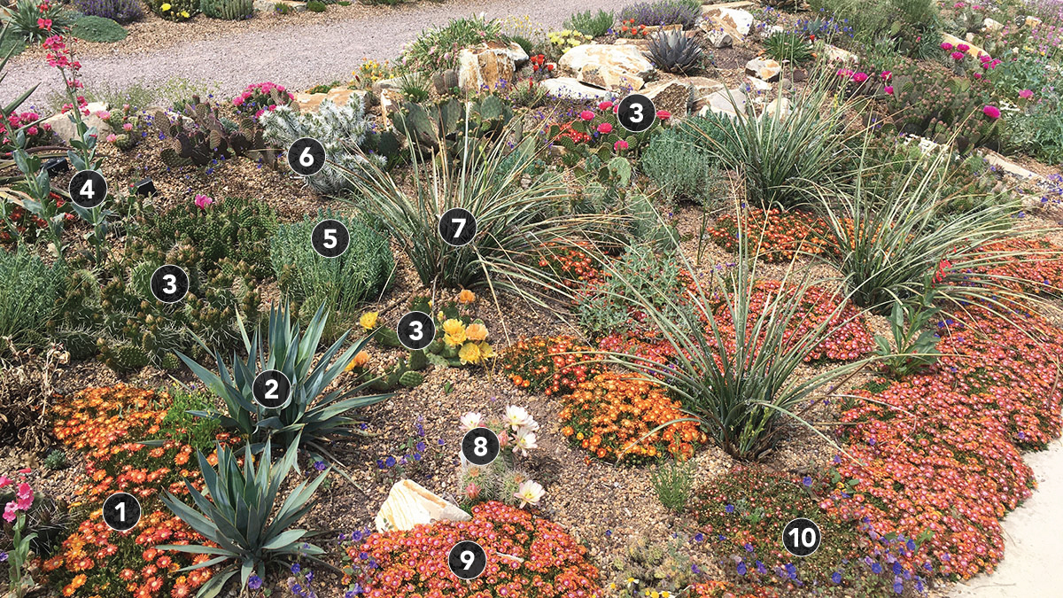 Fine Gardening Magazine Web Extras - FineGardening