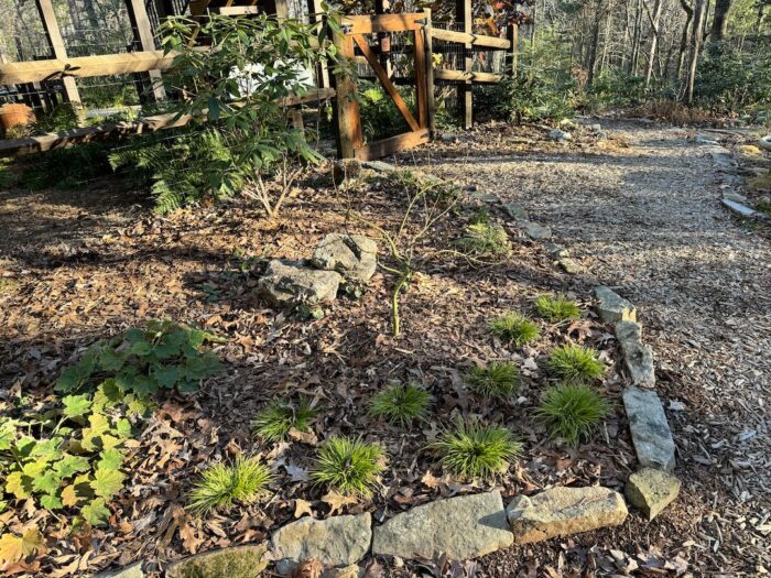 Winter Beauty in Bonnie’s Garden - Fine Gardening