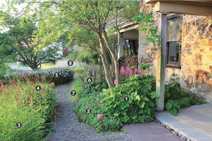 Designing for Impact Over the Long Haul: Planting Plan - Fine Gardening