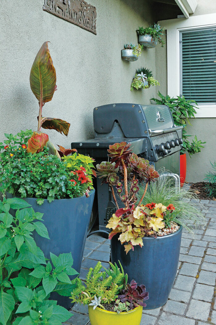 Strategies for Optimizing a Small Garden Space - Fine Gardening