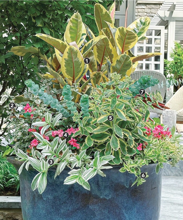 Visit Every Corner of the Garden Center When Choosing Plants for a ...