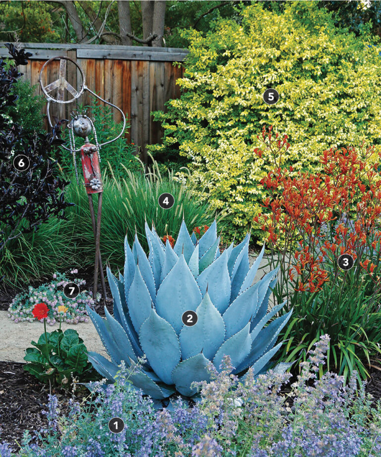 Planting Plan to Optimize a Small Garden Space - Fine Gardening