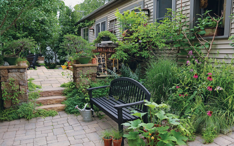 Design an Engaging, Naturalistic Garden in the Shade - Fine Gardening