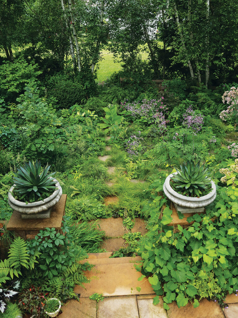 Design an Engaging, Naturalistic Garden in the Shade - Fine Gardening