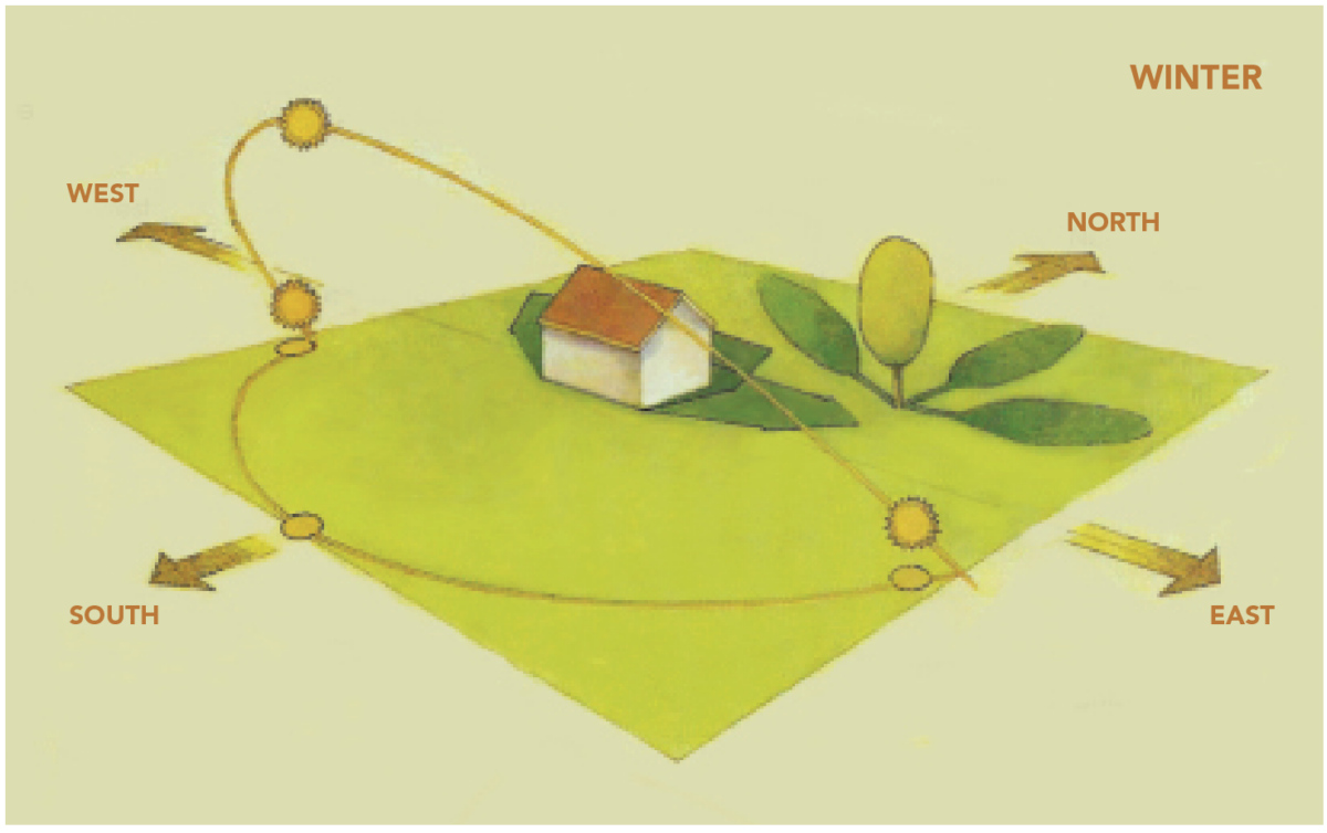 How to Determine if a Garden Bed Is Full Sun or Shade - Fine Gardening