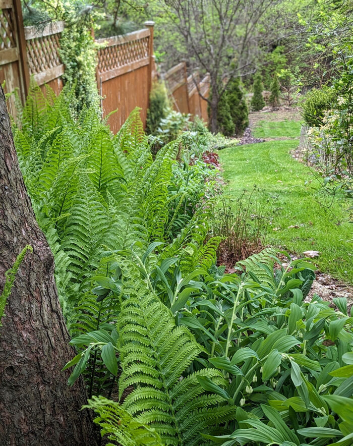 Sheila’s Vermont Garden in Spring - Fine Gardening