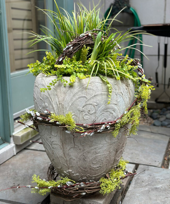 Howard’s Spring Container Displays - Fine Gardening