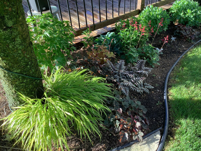 Spring in Alice’s Ontario Garden - Fine Gardening