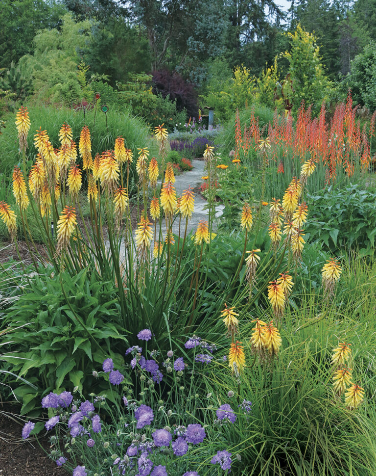 How to Use Ornamental Grasses in the Garden - Fine Gardening
