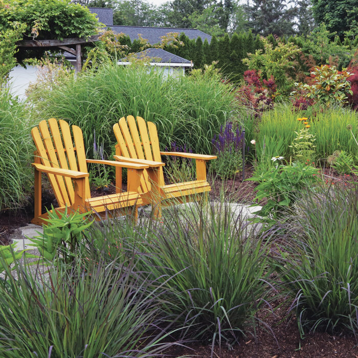 How to Use Ornamental Grasses in the Garden - Fine Gardening