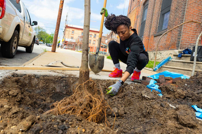 Episode 166: Gardening for the Greater Good with Andrew Bunting - Fine ...