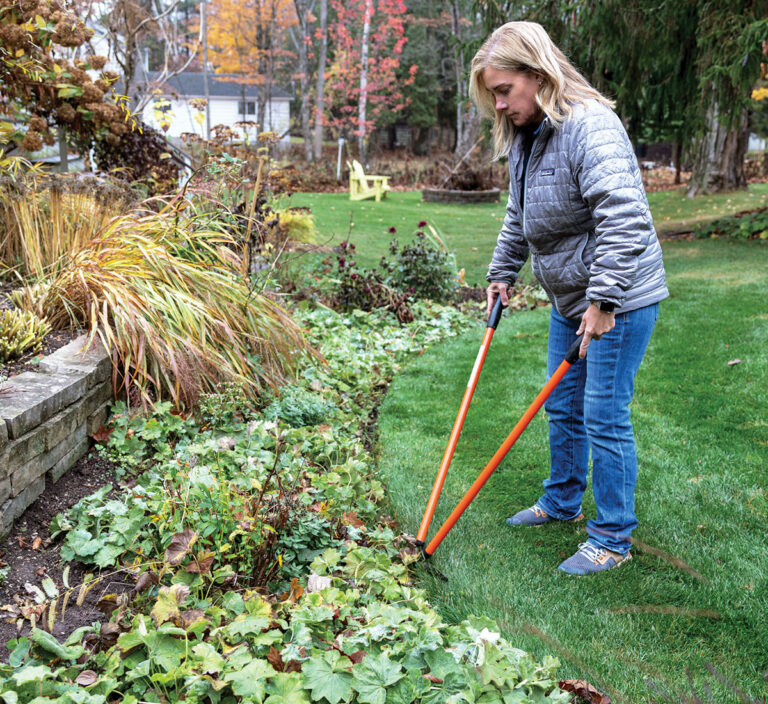 The 6 Best Edging Tools for the Garden - Fine Gardening