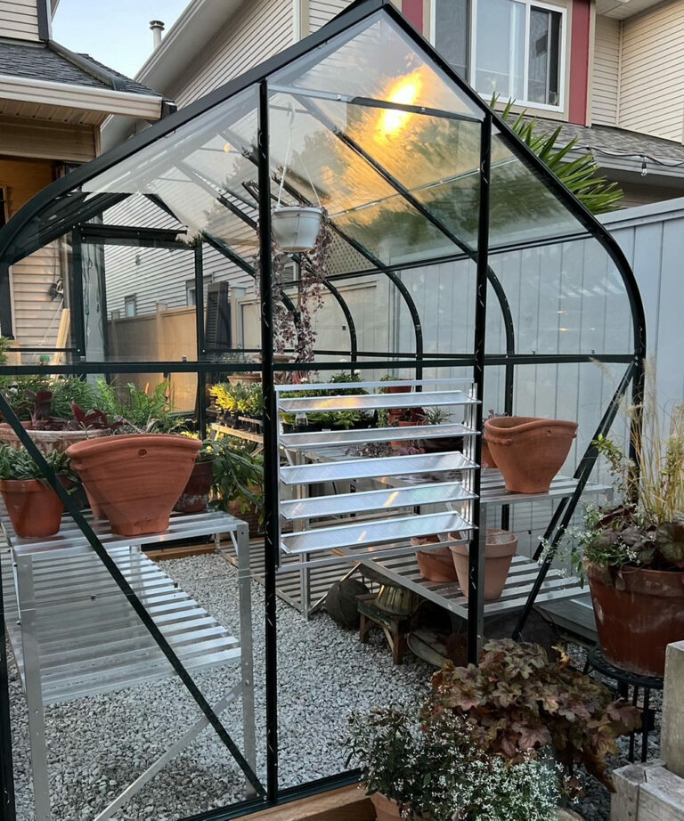 Cherry's Small Space Garden and Greenhouse Experience, Part 3 - Fine ...