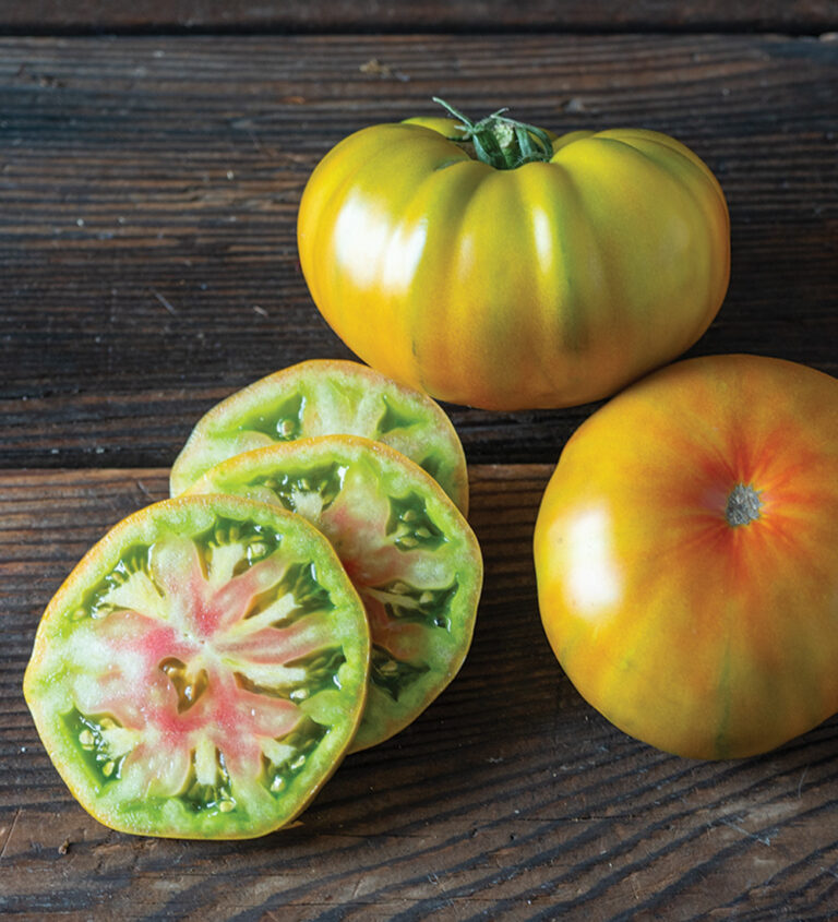 The Best New Plants for 2025 - Fine Gardening