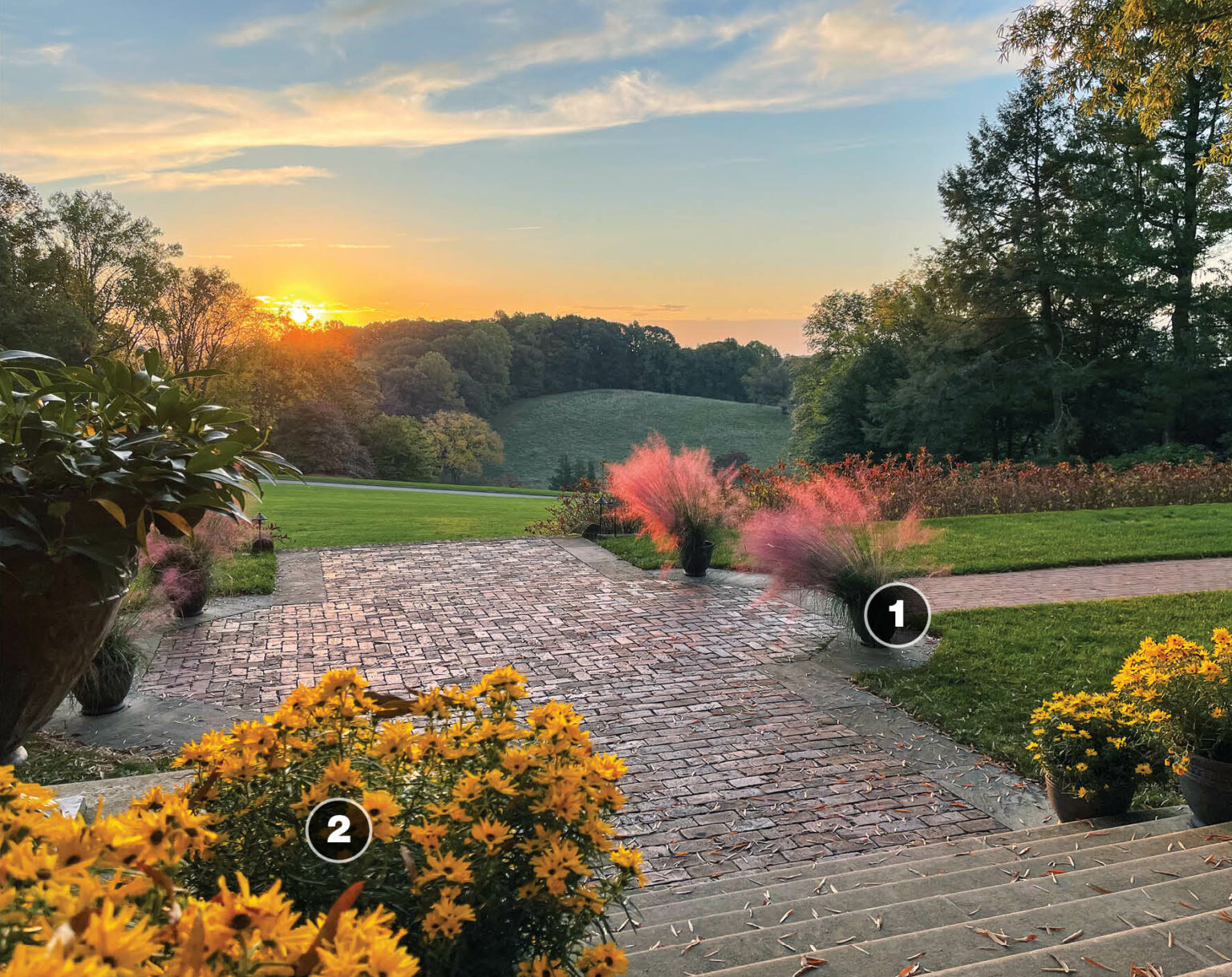 Using Native Plants in Containers - Fine Gardening