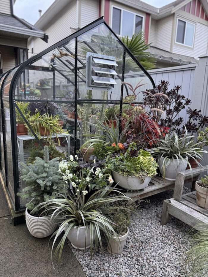 Cherry's Small Space Garden and Greenhouse Experience, Part 7 - Fine ...