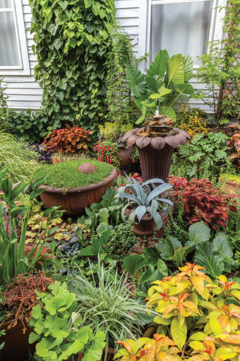 Make a Big Impact in a Small Urban Space with Tropical Plants - Fine ...