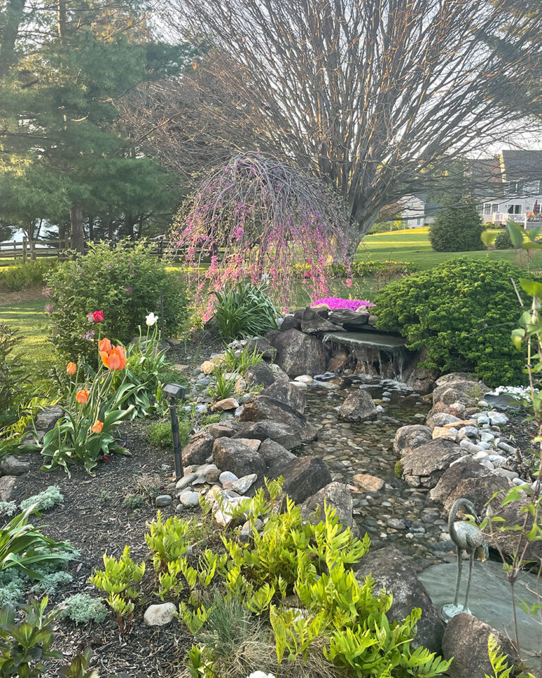 Spring Blooms in Rhonda's Pennsylvania Garden - Fine Gardening