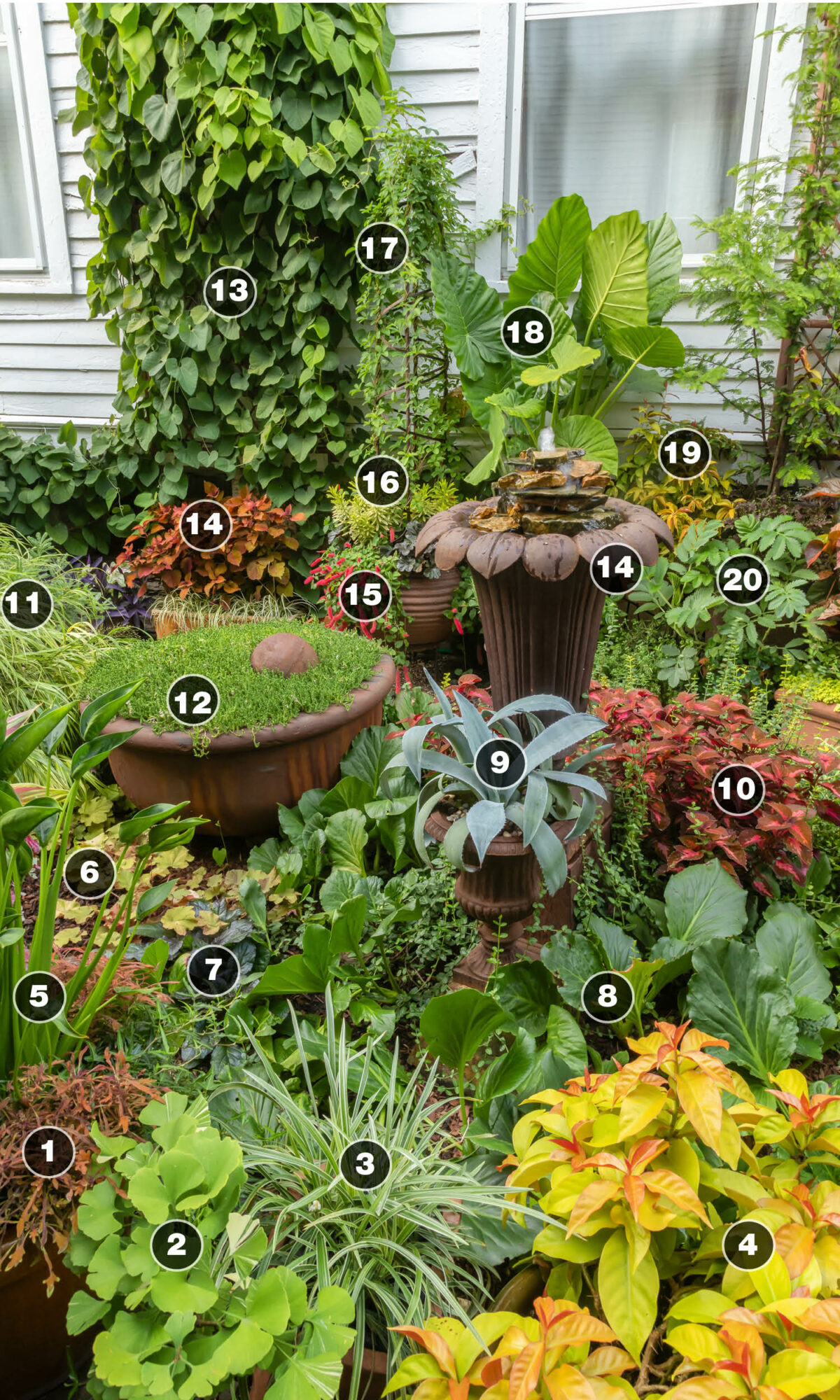 Planting Plan: Use Containers to Create a Lush Garden Oasis in a Small ...