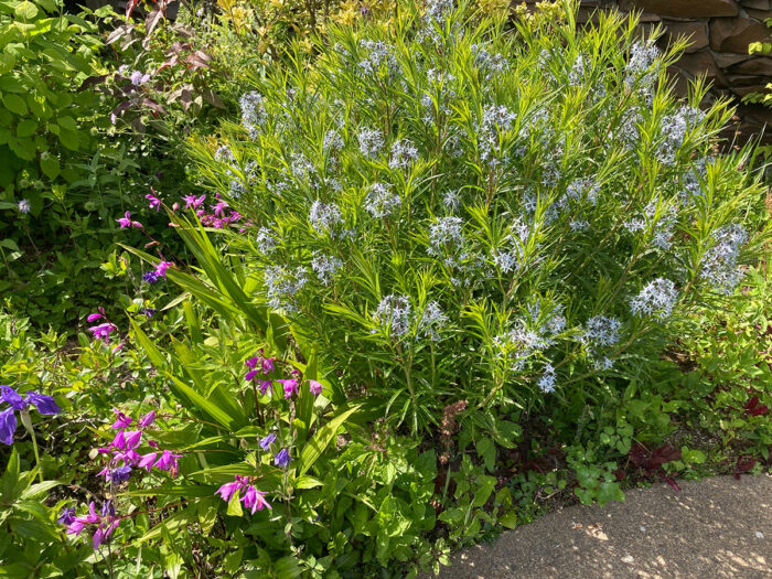 Cleo’s Spring Garden in Washington - Fine Gardening